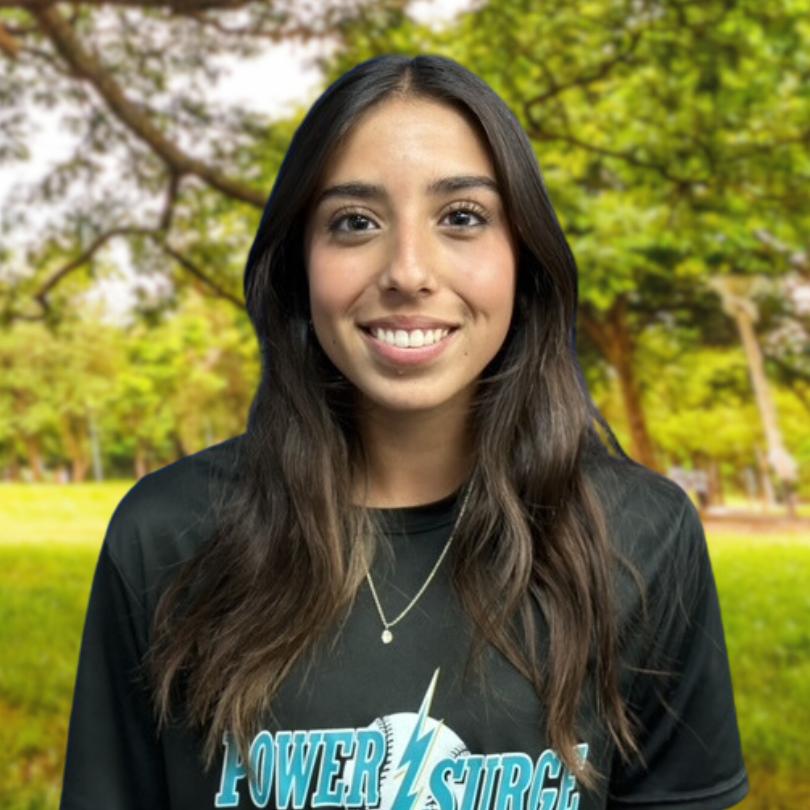 Power Surge - 16U - Walling/Pearlstein - Roster